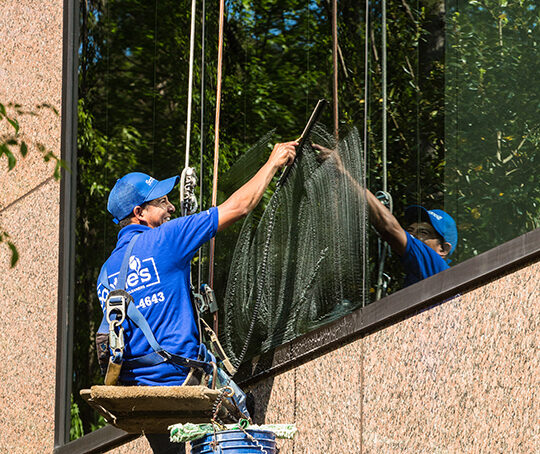 Commercial Window Cleaning | Scotties Building Services